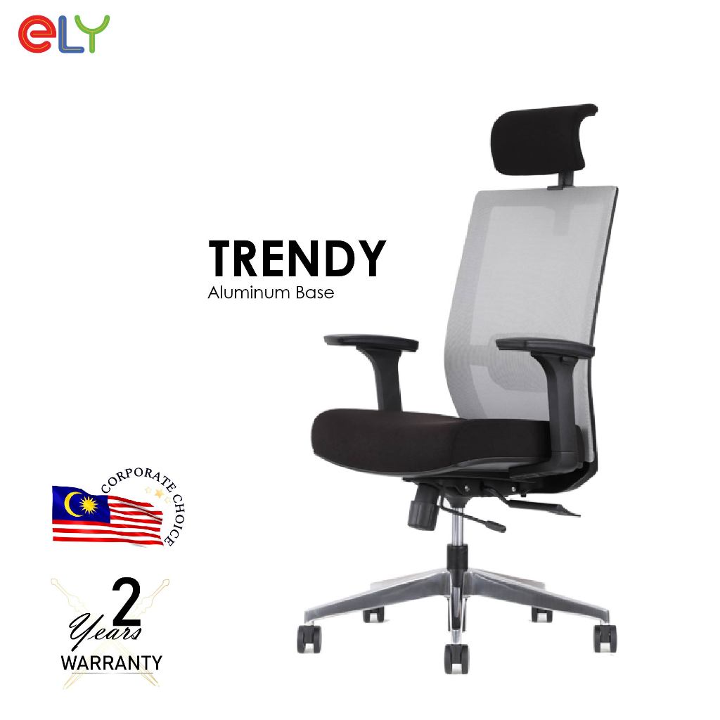 ELY Trendy High Back / Medium Back Mesh Aluminum Base / Office chair ...
