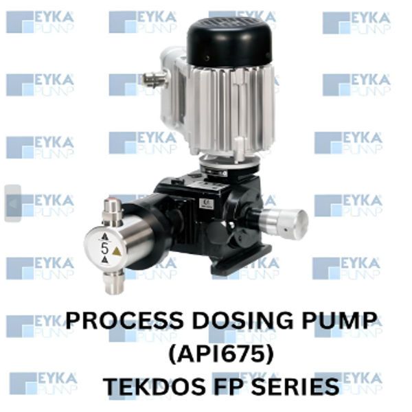 Process Dosing Pump (API675) TEKDOS FP SERIES | Shopee Malaysia