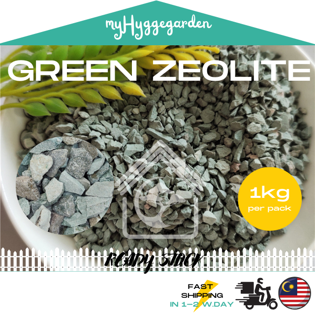 [1KG] Green Zeolite For Planting Gardening Cactus Succulent Plant ...