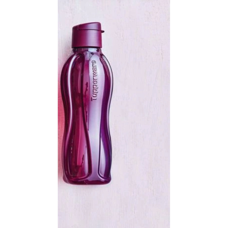 Tupperware Eco bottle Flip top 750ml & Eco stand(1)- (Limited edition ...
