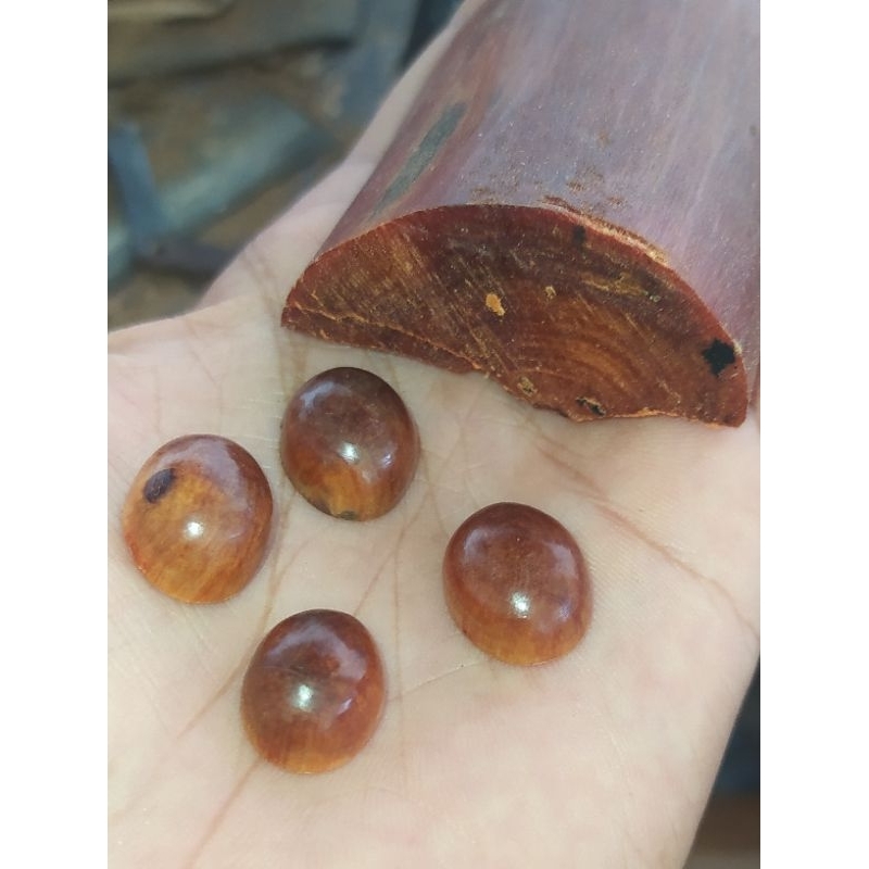 permata teras raja kayu merah asli ( tembus cahaya ) | Shopee Malaysia