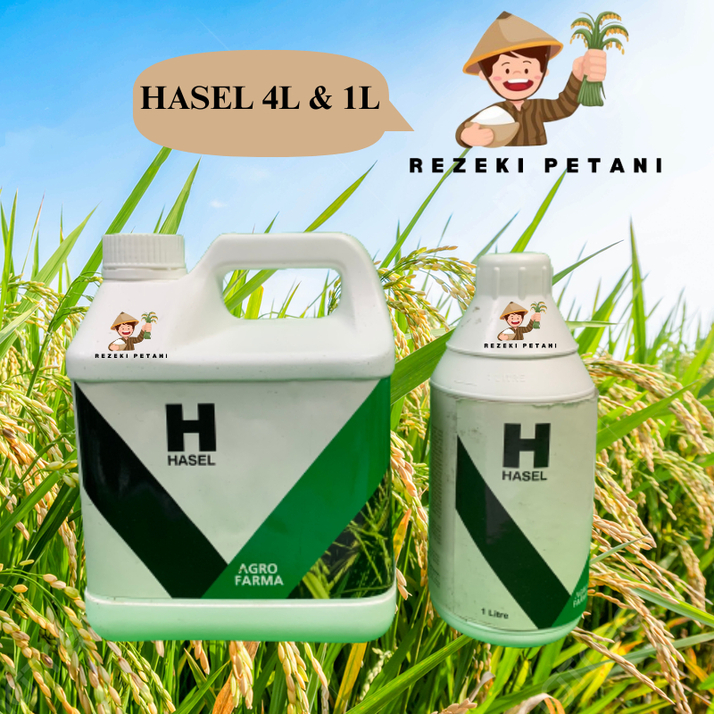 ORIGINAL] 1L 4L HASEL AGRO FARMA Baja vitamin untuk pokok dan batang ...