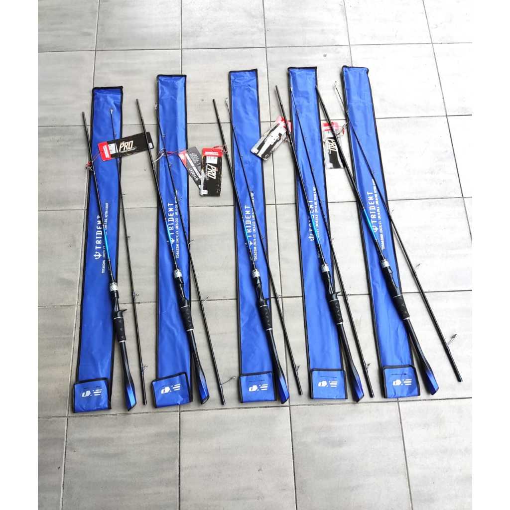 EXP TRIDENT CARBON FIBER SPINNING/BAITCASTING(BC) FISHING ROD | Shopee ...