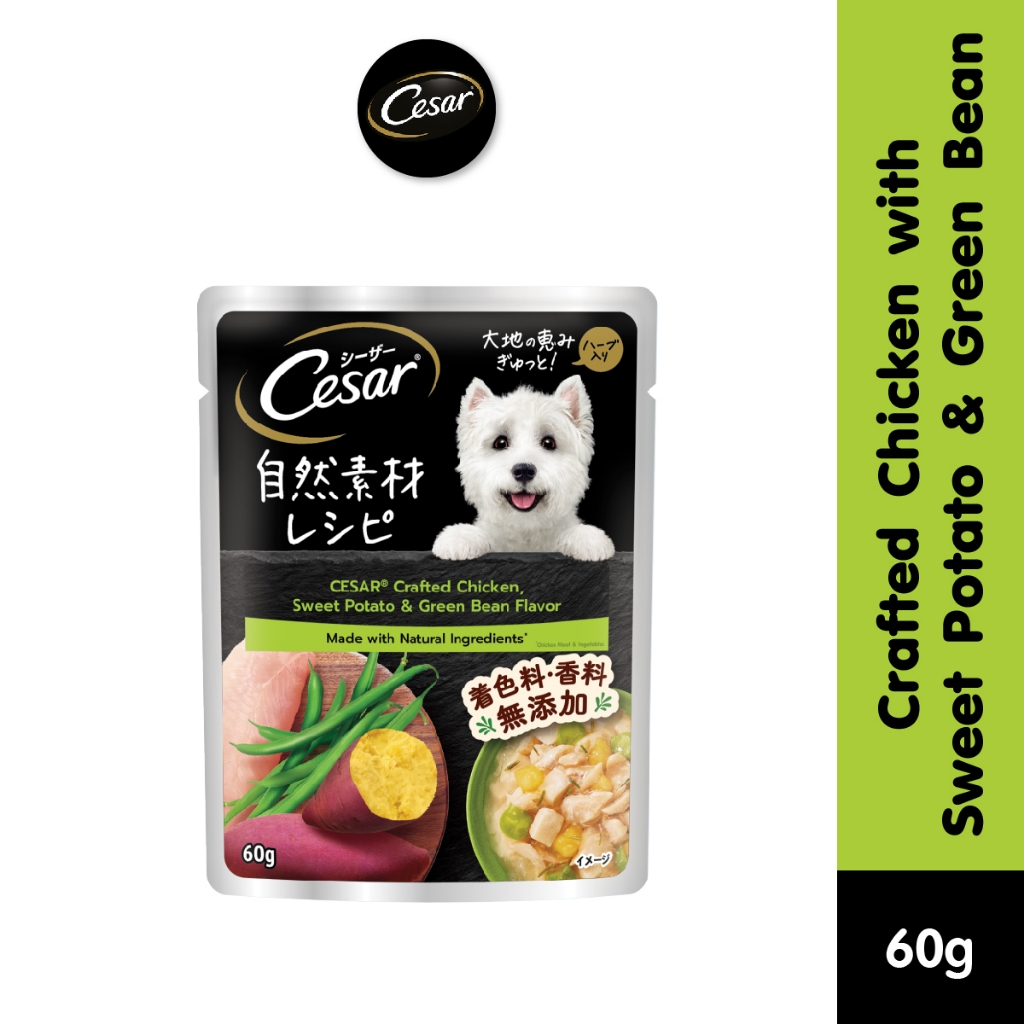 CESAR Pouch Premium Wet Dog Food Crafted Chicken Sweet Potato and Green ...