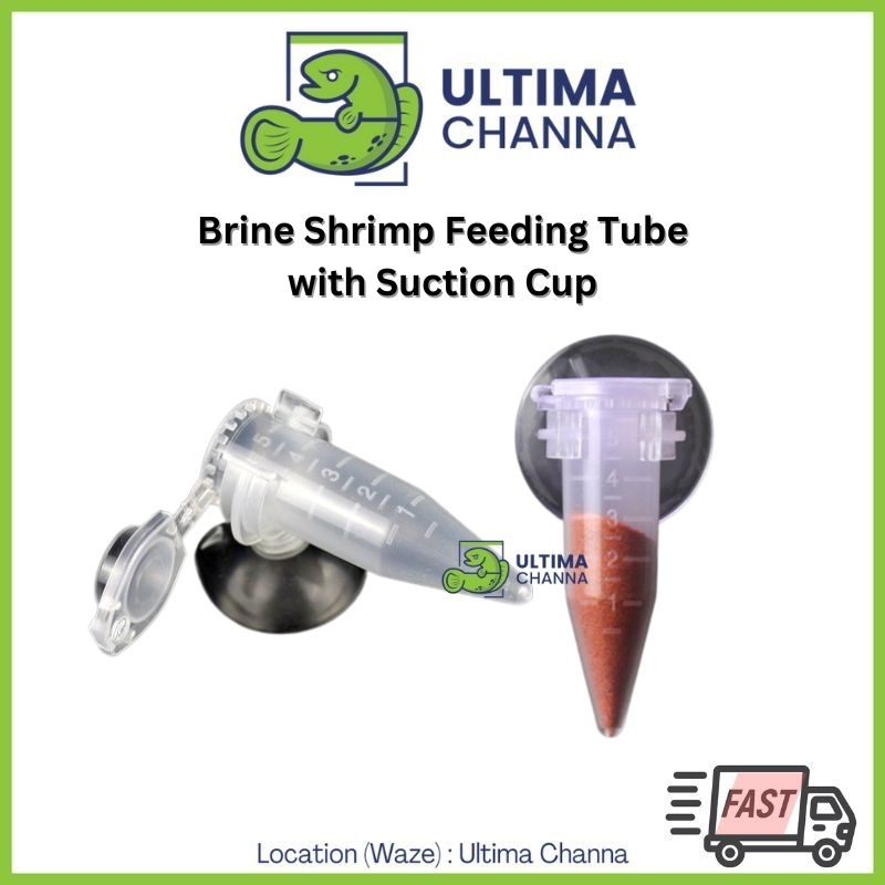 Fish Tank Brine Shrimp Feeder - feeding tube for bbs brine shrimp ...