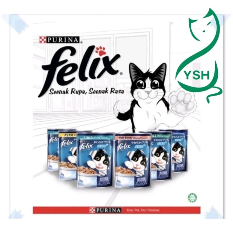 Purina Felix Wet Cat Food (70g x 12 packs) | Shopee Malaysia