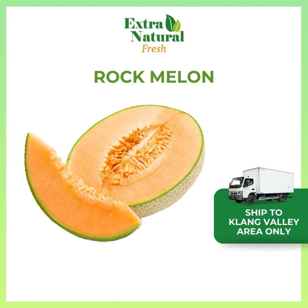 Rockmelon 1pcs (Tembikai Wangi)|Fresh Fruit| [Extra Natural Fresh ...