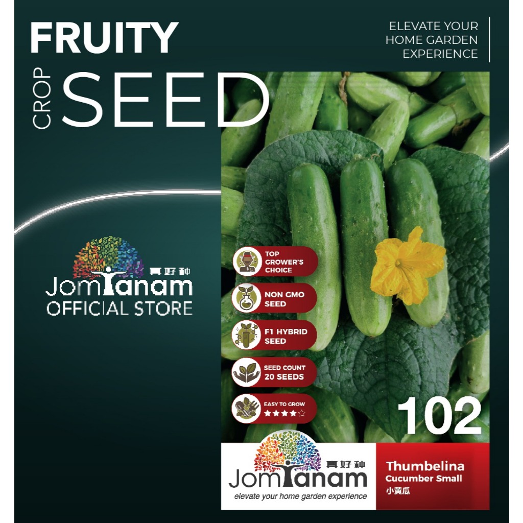 Mini Cucumber Seed Thumbelina 102 JOM TANAM Benih Timun Mini 迷你黄瓜 小黄瓜种子 蔬果种子 Benih Berkualiti ...