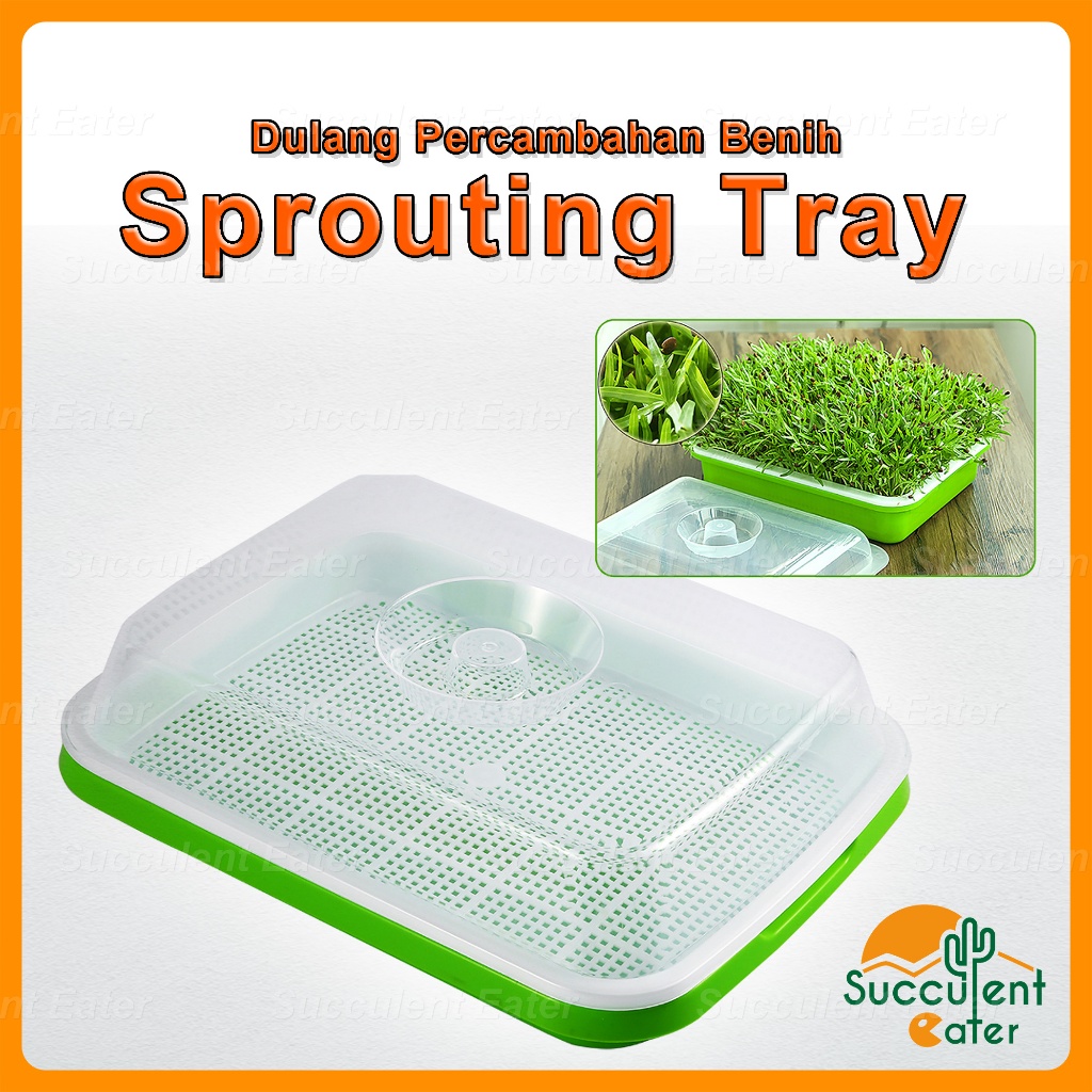 Sprouting Tray Microgreen Tray Double Layer Cat Grass Seedling ...