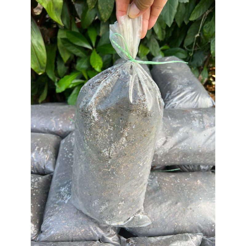 Tanah Hitam Campuran Baja Taik Ayam - Sesuai untuk tanama pokok dan ...