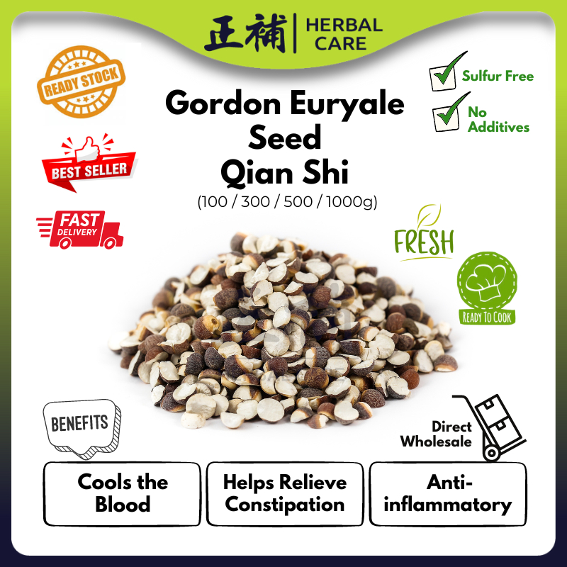 Prickly Waterlily Seed (Qian Shi) 芡实 茨实 欠实 芡實 Gordon Euryale Seed ...