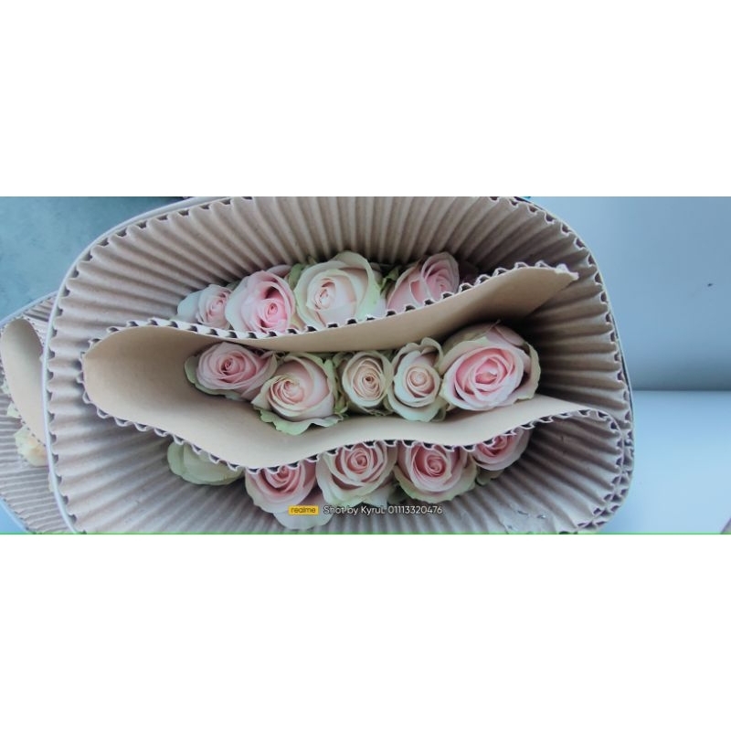 🌹Ready Stock 🌹 Roses 🌹20stalks🌹 Fresh Flower From Cameron Highlands 🌹🌹 ...