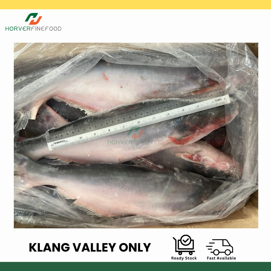 [Frozen] Patin Whole 1-1.2KG 巴丁鱼 [KLANG VALLEY ONLY] | Shopee Malaysia