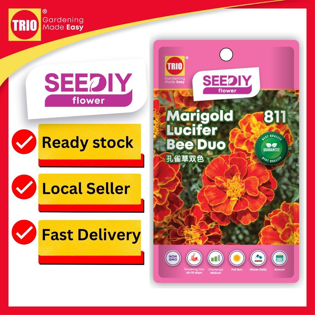 Trio Seediy Flower Seeds Marigold Lucifer Bee Duo 孔雀草双色 Approx 0.1g ...