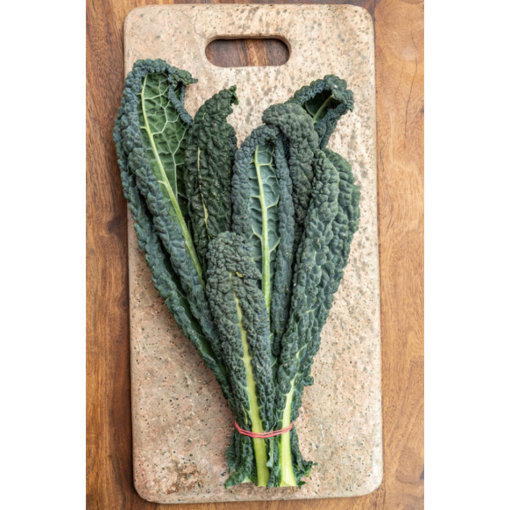 Tuscan Cabbage Kale Seed Biji Benih Kobis Kubis - 50 Seed | Shopee Malaysia