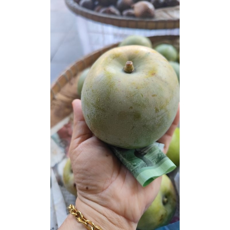 MANGGA EPAL FRESH DARI KEBUN | Shopee Malaysia