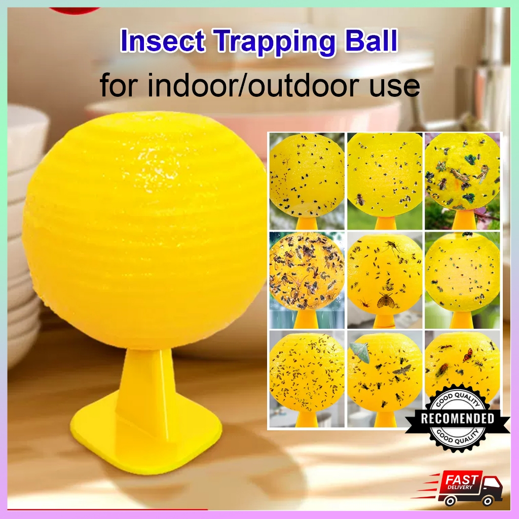 Insect Trapping Ball Sticky Fruit Fly Trap 8mm Rain Resistant for ...
