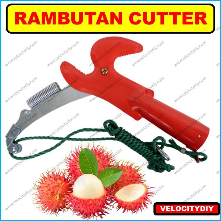 （两用红毛丹剪）Two Way Rambutan Cutter Gunting Rambutan Rambutan Shear Fruit ...