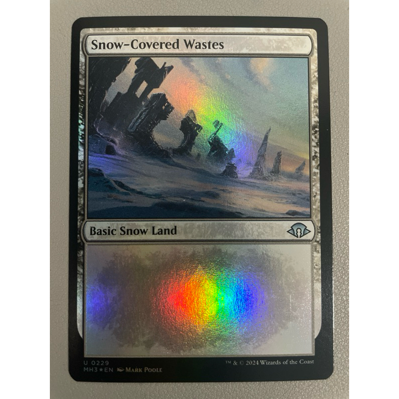 MTG:Modern Horizons 3 (MH3) Foil Land Card (Full art, Borderless ...