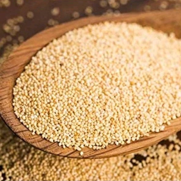 Khash khash Poppy Seeds Kas Kas (خشخاش)50g - 250g | Shopee Malaysia