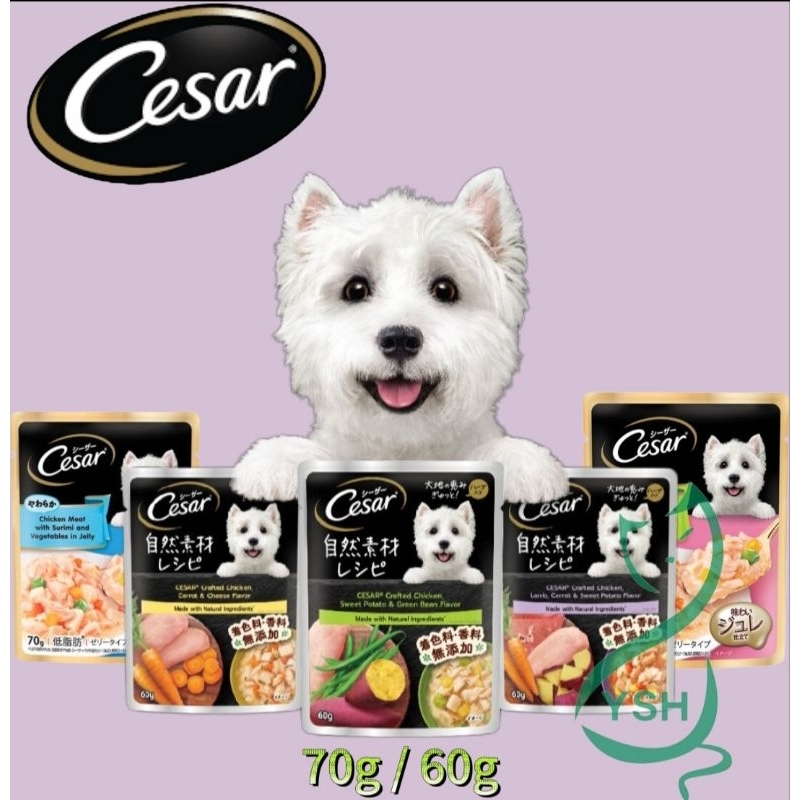 Cesar Pouch Wet Dog Food (70g / 60g x 6 pckts) | Shopee Malaysia