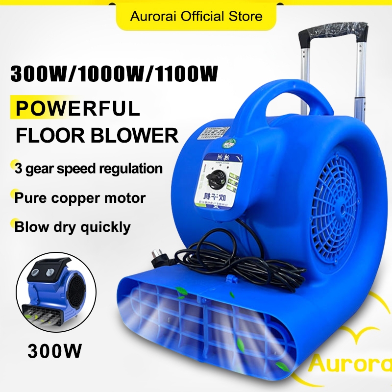 300W/1000W/1100W Household Floor Blower Blower Toilet Cooling Fast ...