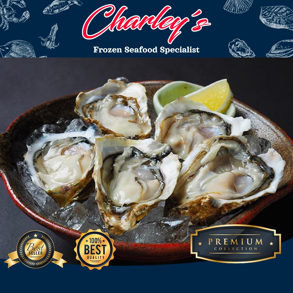 Japan Miyagi Oyster Sashimi Top Grade L Size 6PCS (100-120G/PC ...