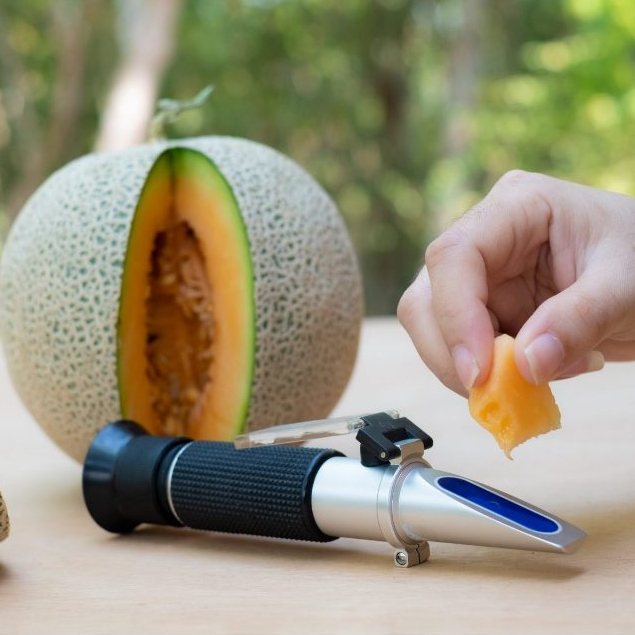 Melon Brix Meter 0-32% Refractometer ATC Buah Melon Sugar Drinks ...