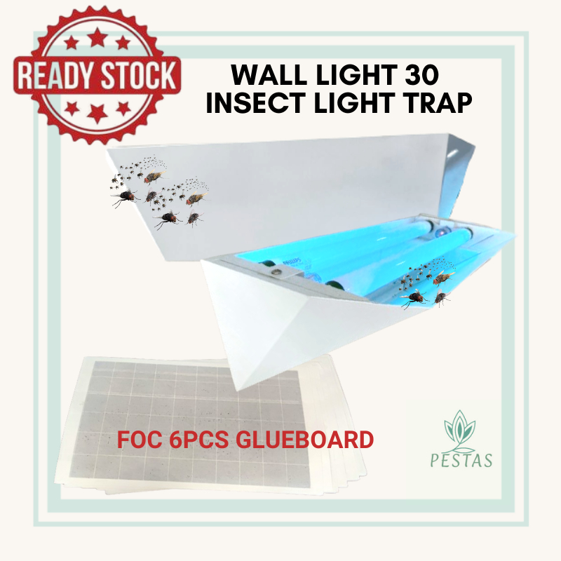 Wall Light 30 Insect Light Trap [FOC 6PCS Glueboard] / Insect Killer ...