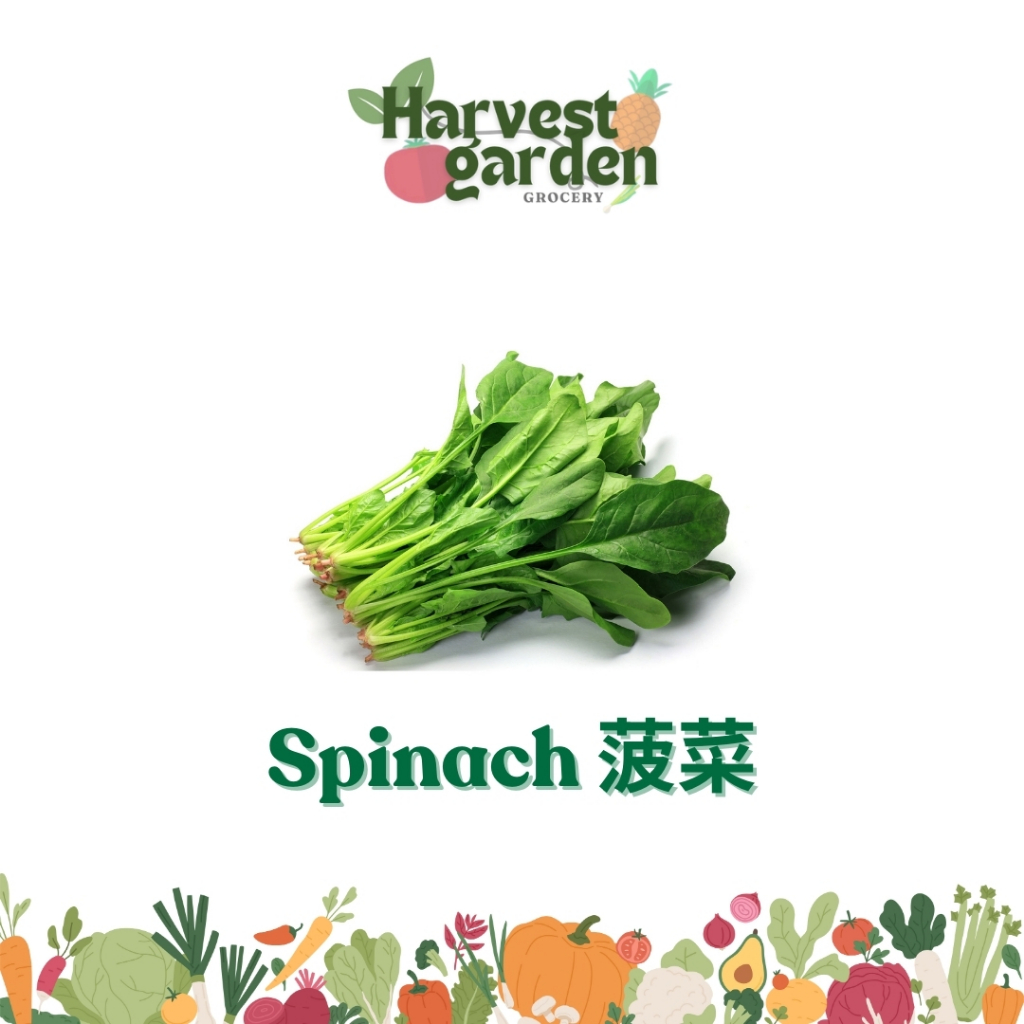 Spinach 菠菜 1PKT (250G+/-) Daily Fresh Vegetable | Shopee Malaysia