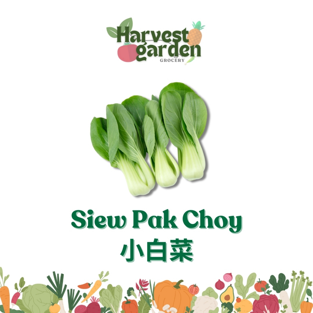 Siew Pak Choy // Sawi Kecil 小白菜 1PKT (250g+/-) Daily Fresh Vegetable ...