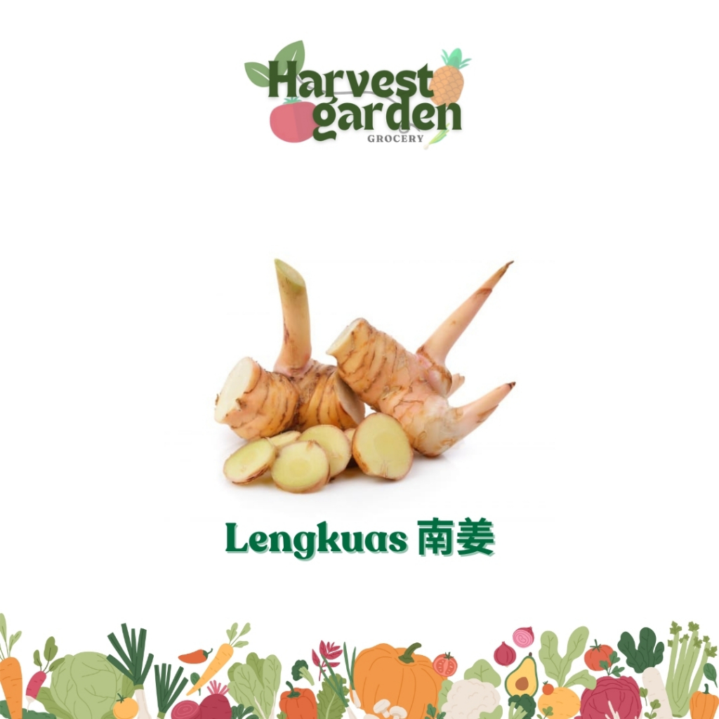 Fresh Lengkuas // Galangal // 南姜 (300G +/-) Fresh Daily Vegetable ...