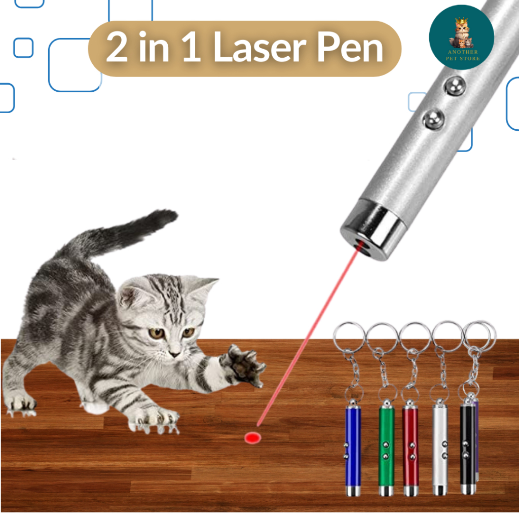 Buy laser pointer Online With Best Price, Jun 2026 | Shopee Malaysia