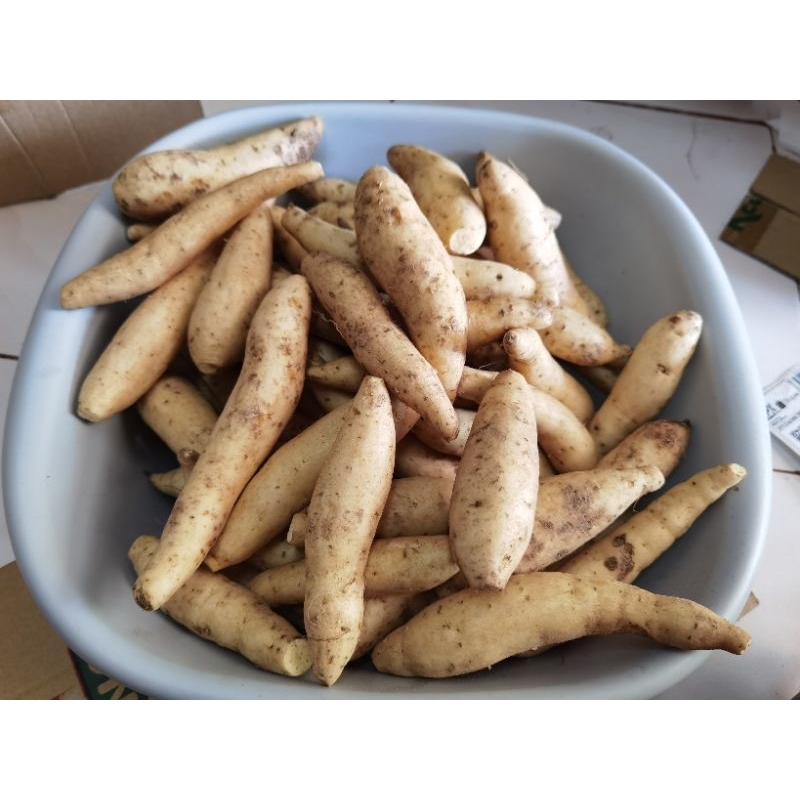 1kg Ubi Madu Putih / 1kg Ubi Keledek Madu Putih / 1kg White Sweet Honey ...