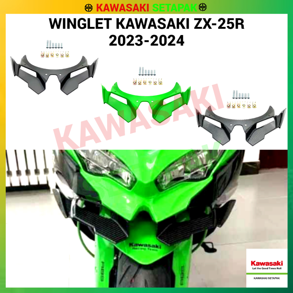 WINGLET KAWASAKI ZX-25R (2023-2024) | Shopee Malaysia