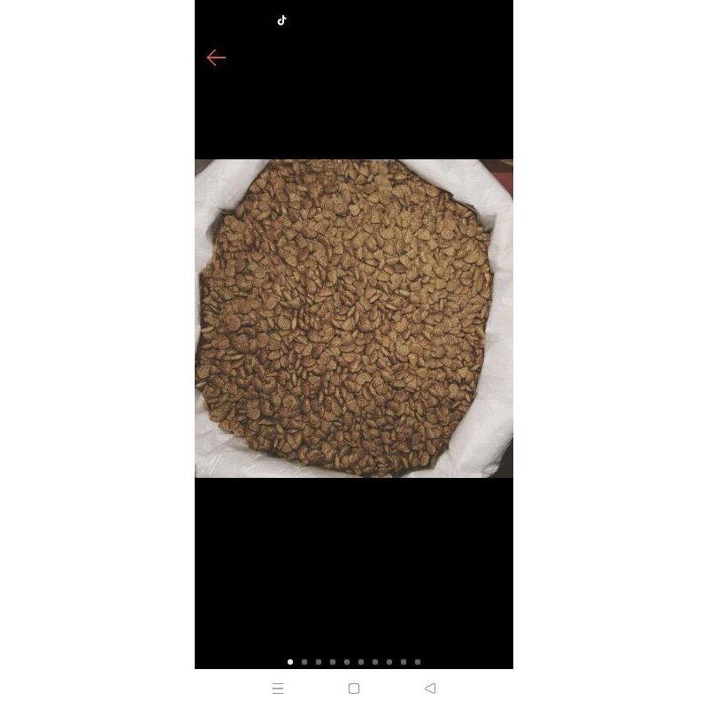 cat kibbles mix 1 kg | Shopee Malaysia