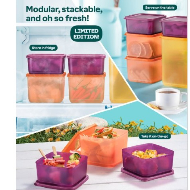 Tupperware So Fresh Square Essential Set Food Storage Container Box ...