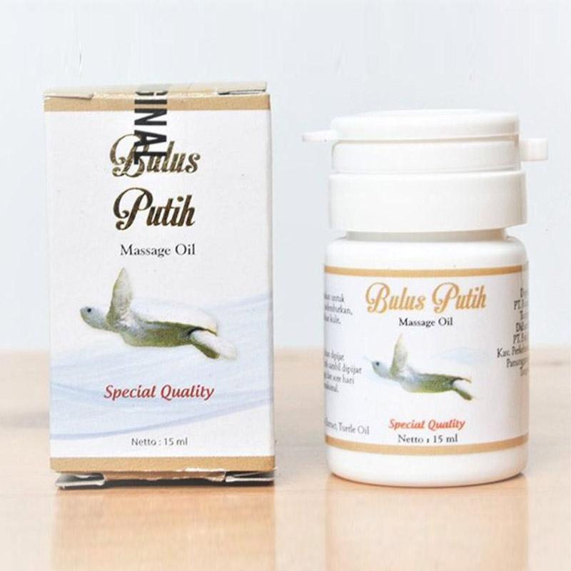 Bulus putih Oil Original Pekat Sangat Berkesan Membsarkan Zkar dan ...