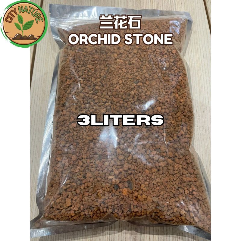 3L ORCHID STONE Batu Orkid Natural Organic Flower Orchid Plant Grow ...