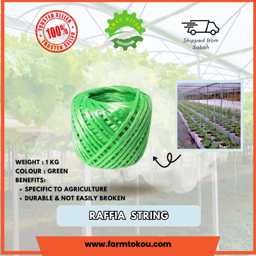 [READY STOCK] RAFFIA STRING | Shopee Malaysia