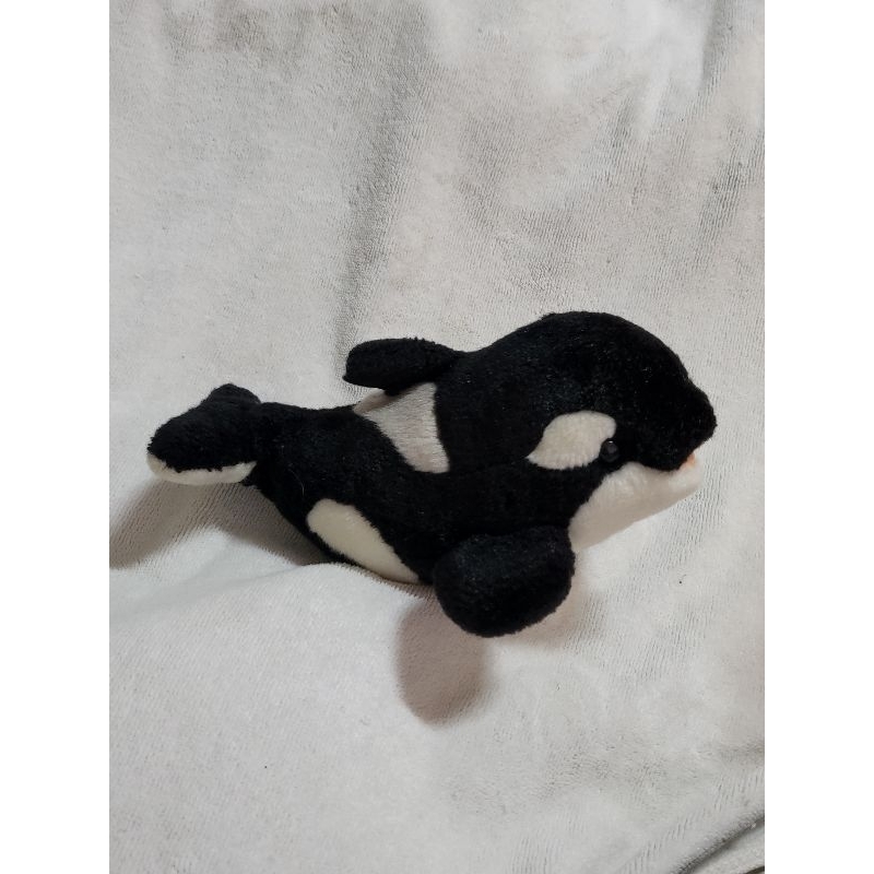 Authentic Port of Nagoya Public Aquarium Killer Whale (Orca) with ...