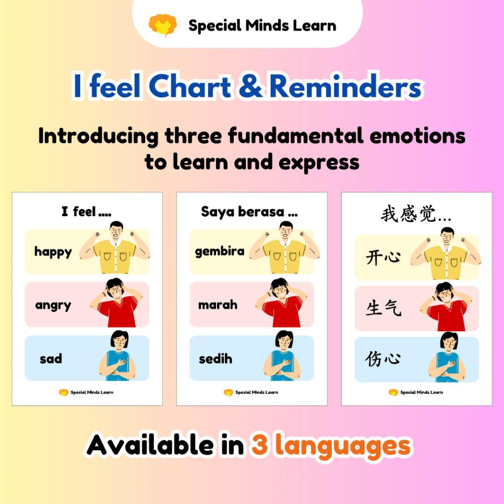 I feel | Emotions Chart | Chinese, English & Bahasa Melayu | Inclusive ...