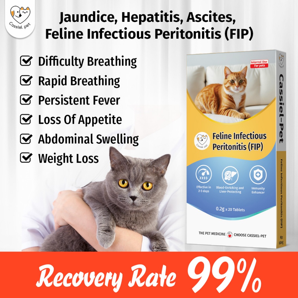 Cassiel Pet FIP™ For Fever Weight Loss Red Eye Difficulty Breathing ...