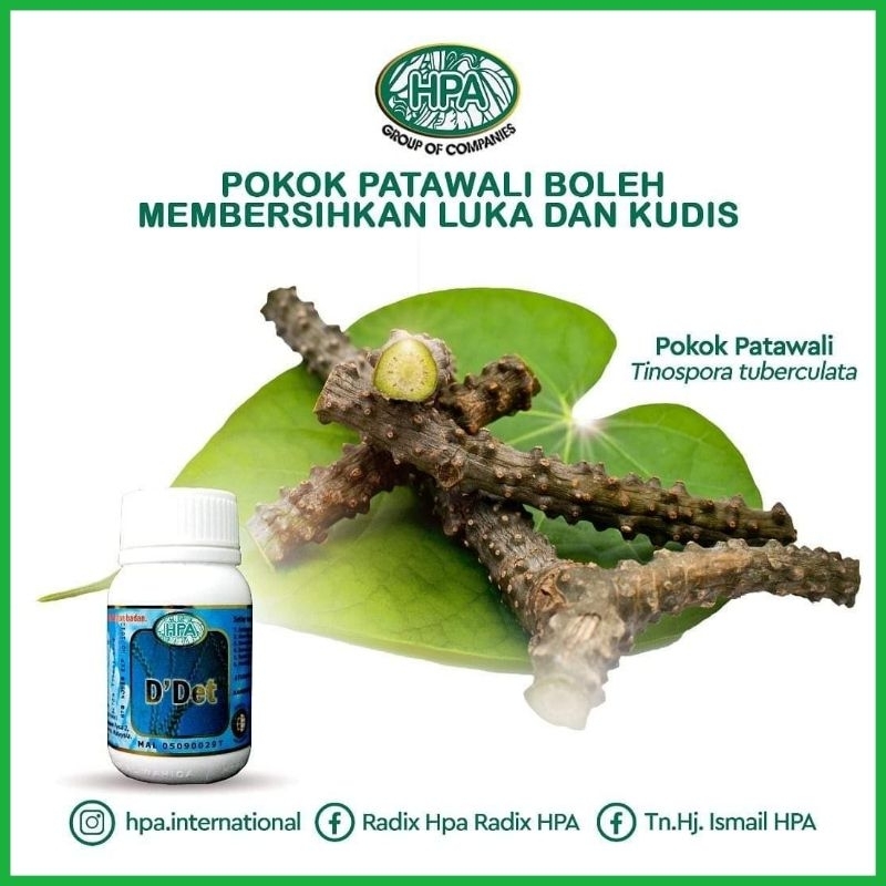 D’Det HPA Herba Patawali, 60 biji (Exp 12/2027) | Shopee Malaysia