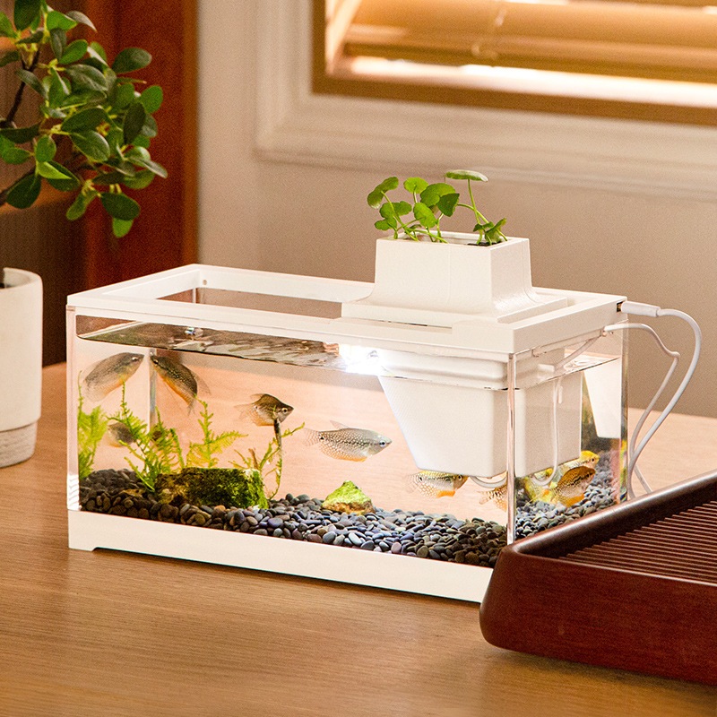 Aquarium Fish Tank Plastic Fish Tank LED Creative Ideal for Home Table ...