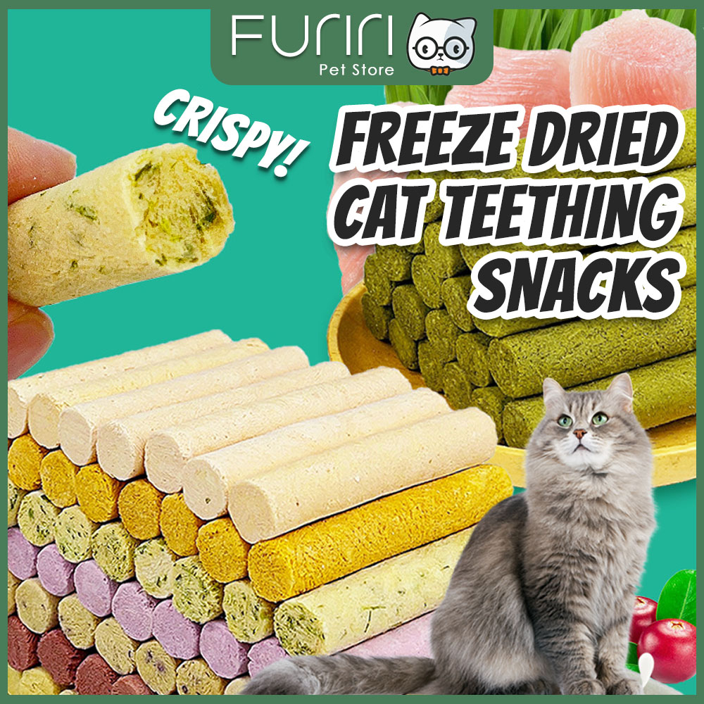 Furiri 100g Freeze Dried Cat Teething Snack Treat Chicken Duck Fruit ...