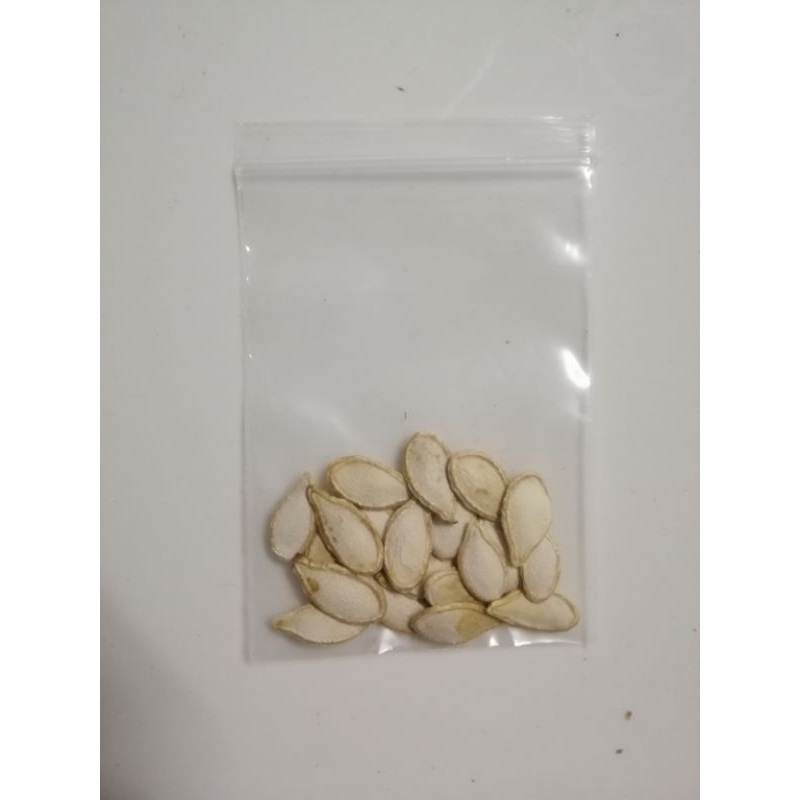 Benih Labu Manis 868 | Buah yg digemari Pemborong | Shopee Malaysia