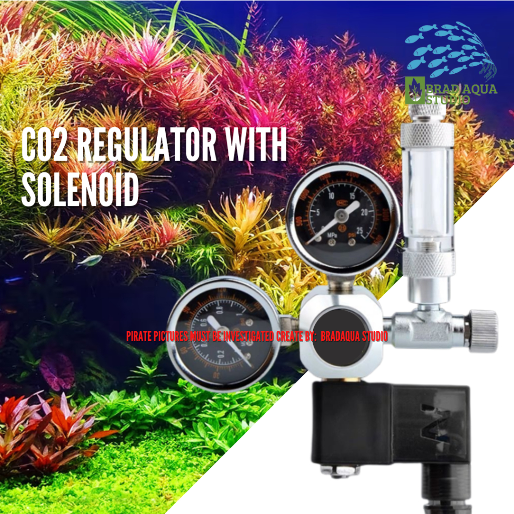 AQUARIUM CO2 Regulator With Solenoid Check Valve Aquarium Bubble Counter | Shopee Malaysia