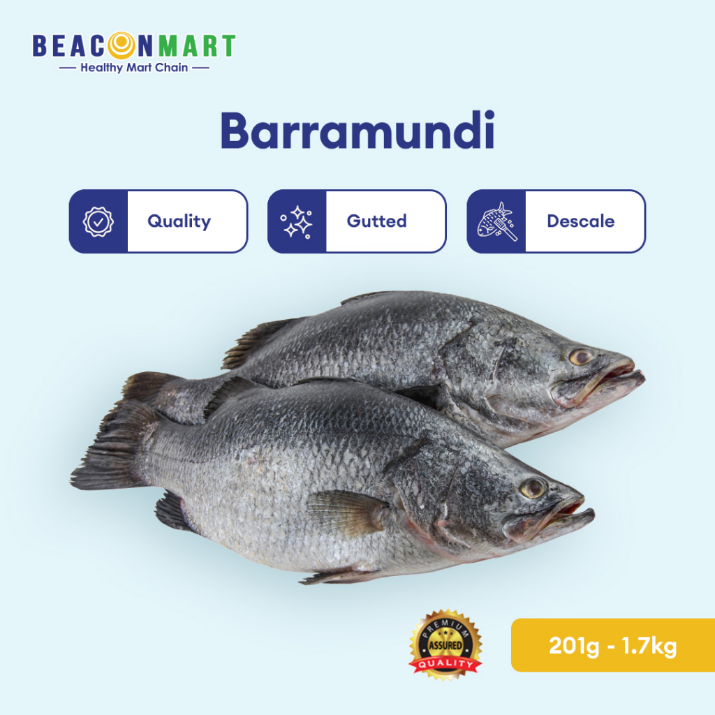 [Beacon Mart] Fresh Frozen Barramundi Whole Fish | Sabah Wild Caught ...