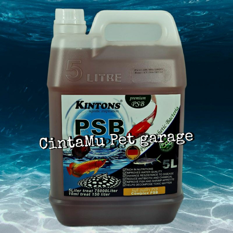 KINTONS PSB PLUS 5L PHOTOSYNTHETIC BACTERIA PLUS UBAT BACTERIA 光合菌 | Shopee Malaysia